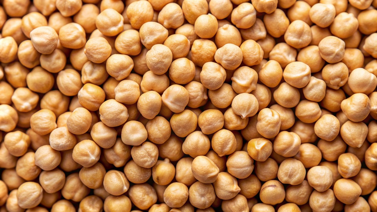 Australian Chickpea Pan-Genome Breakthrough Paves Way for Drought ...